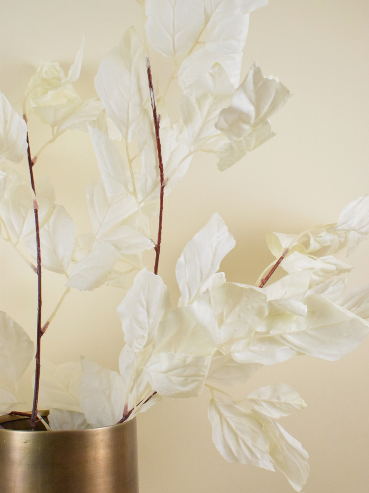 Cream Leaves | FleurOord